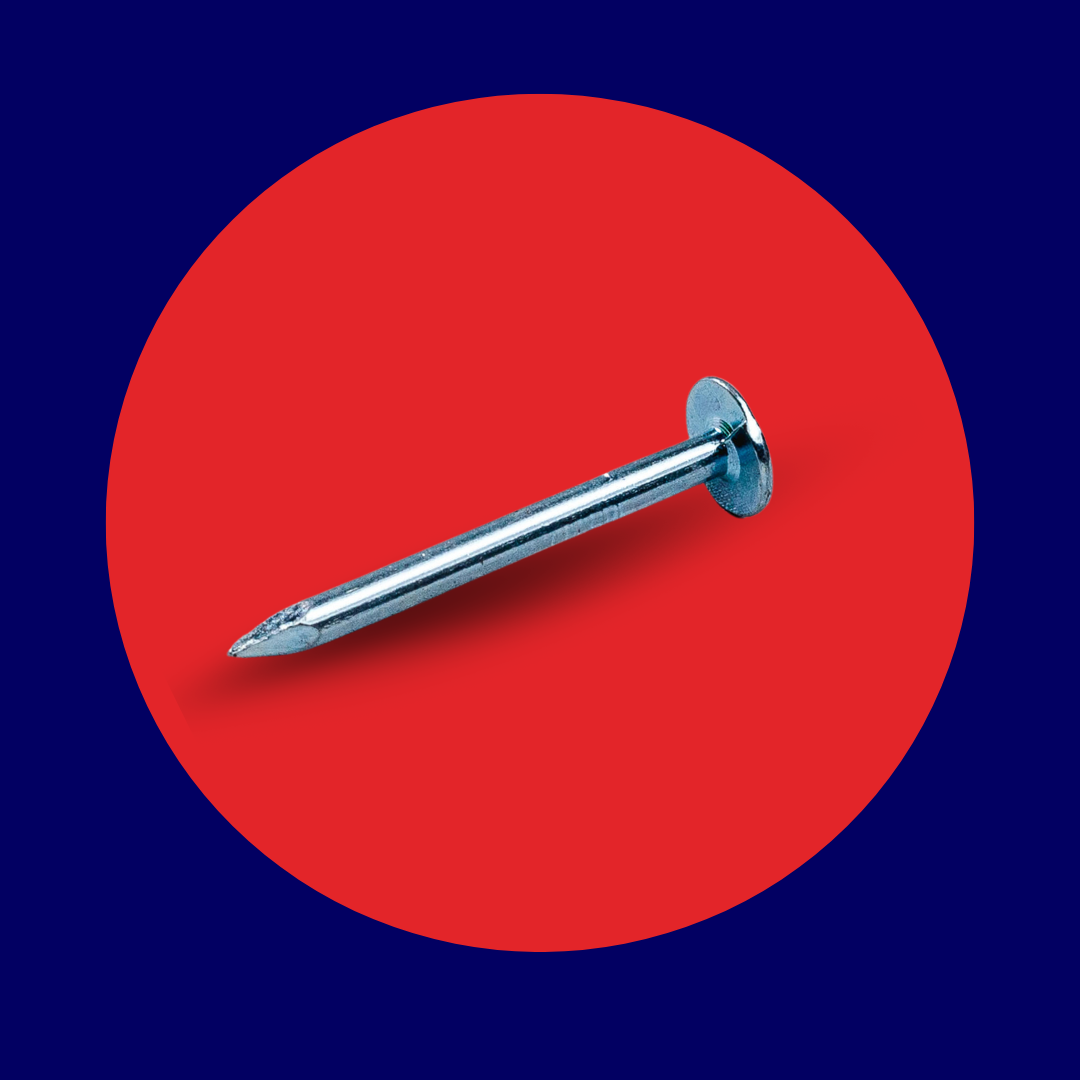 Galv Ceiling Nails - WIREFORCE ZAMBIA LTD